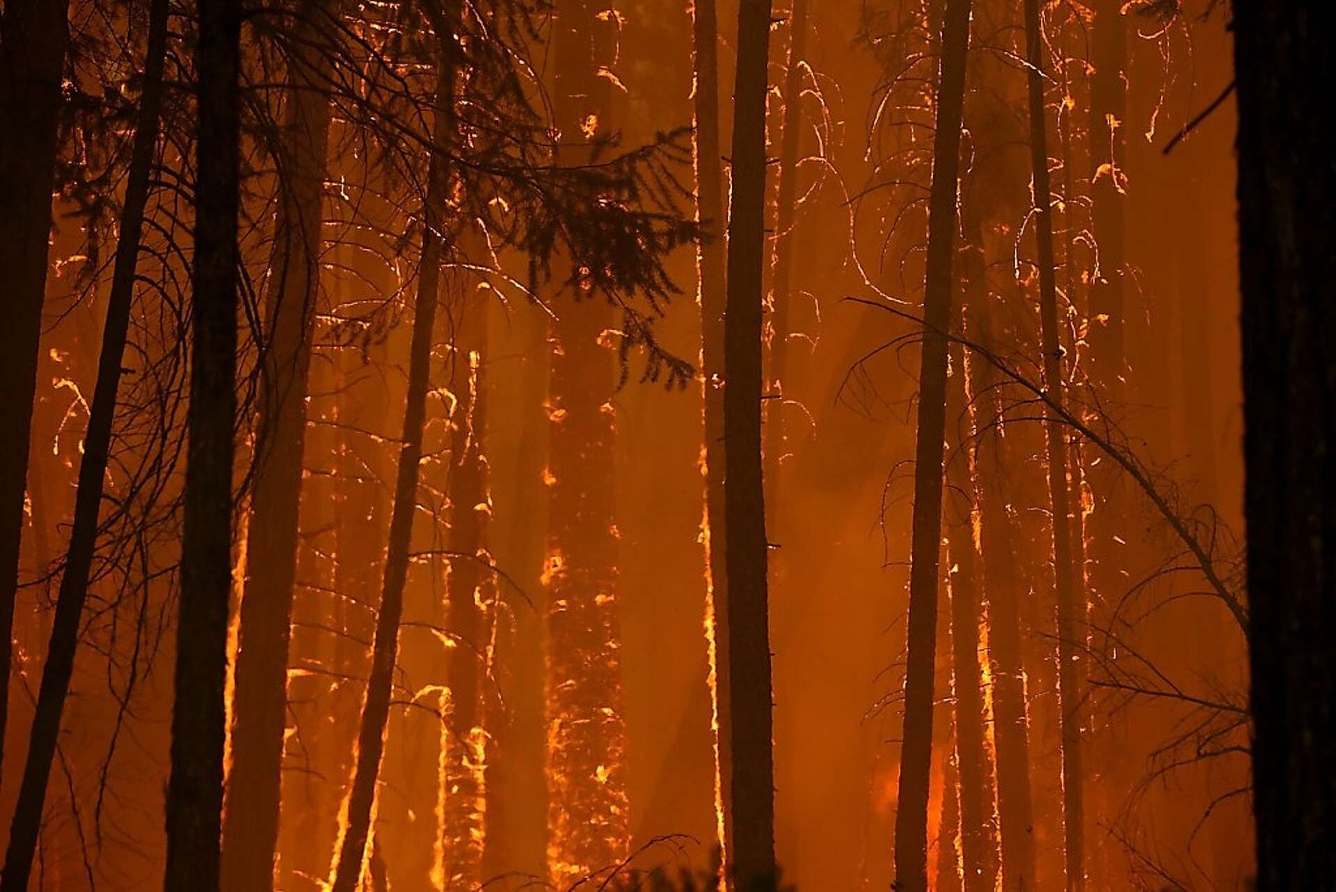 Crews making progress on Sierra's Rim Fire