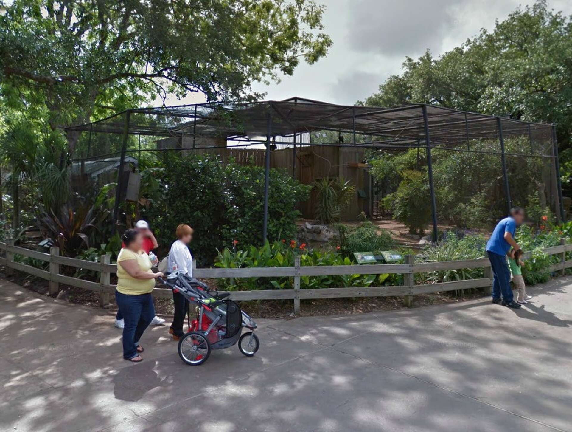 Google walks through Houston Zoo, uploads the entire visit