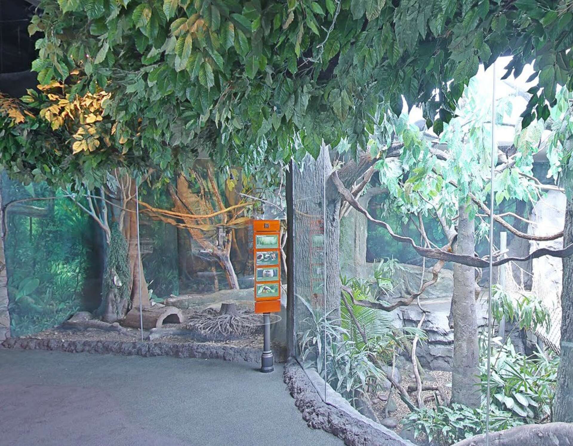 Google walks through Houston Zoo, uploads the entire visit