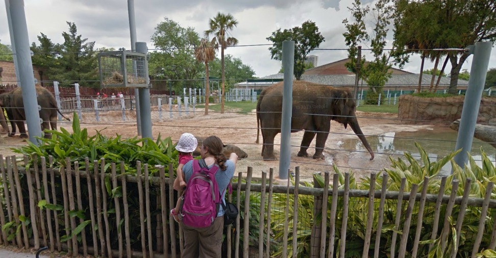 Google walks through Houston Zoo, uploads the entire visit