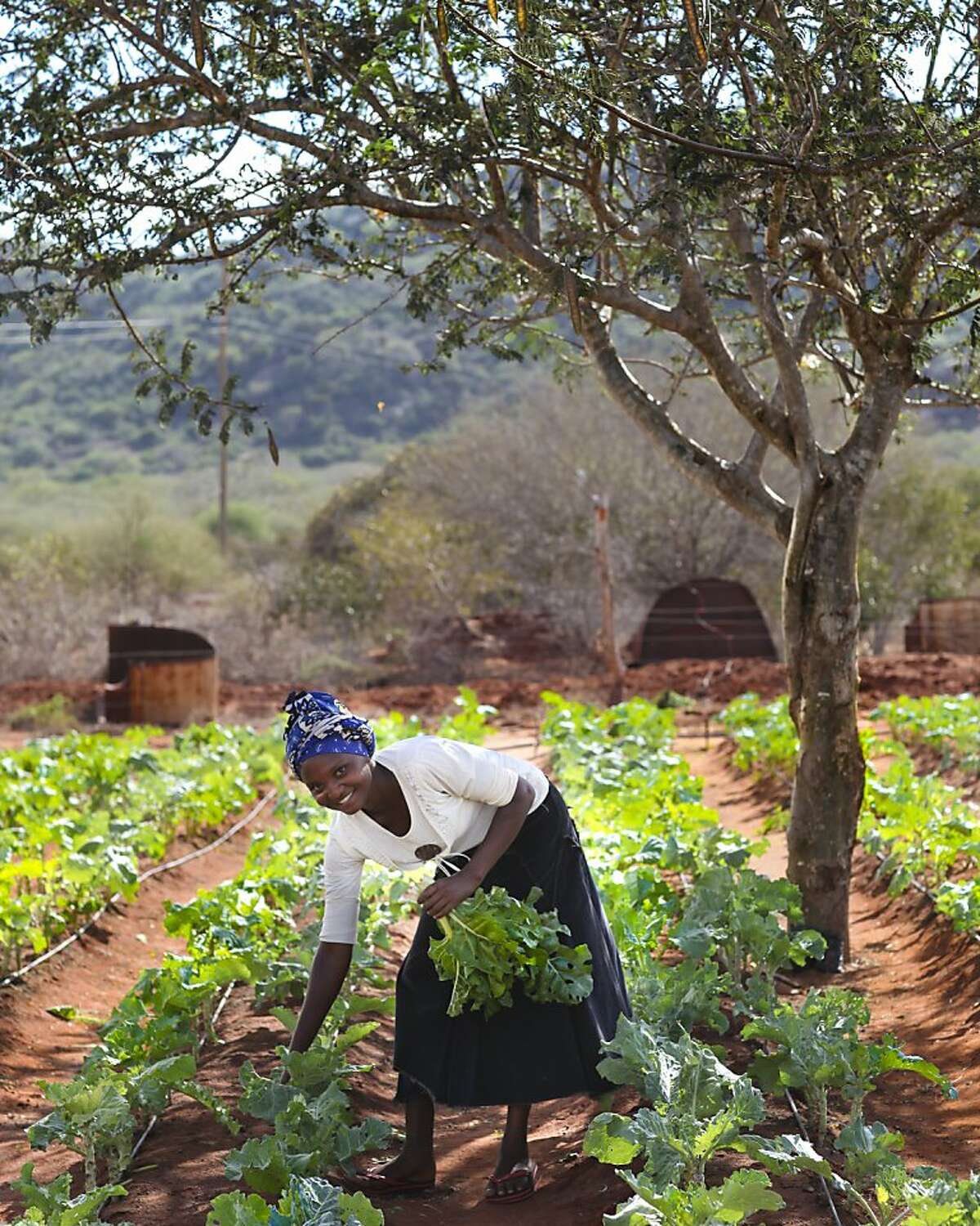 Wildlife Works Builds Business Protecting Forests Climate wildlife-works-builds-business-protecting-forests-climate