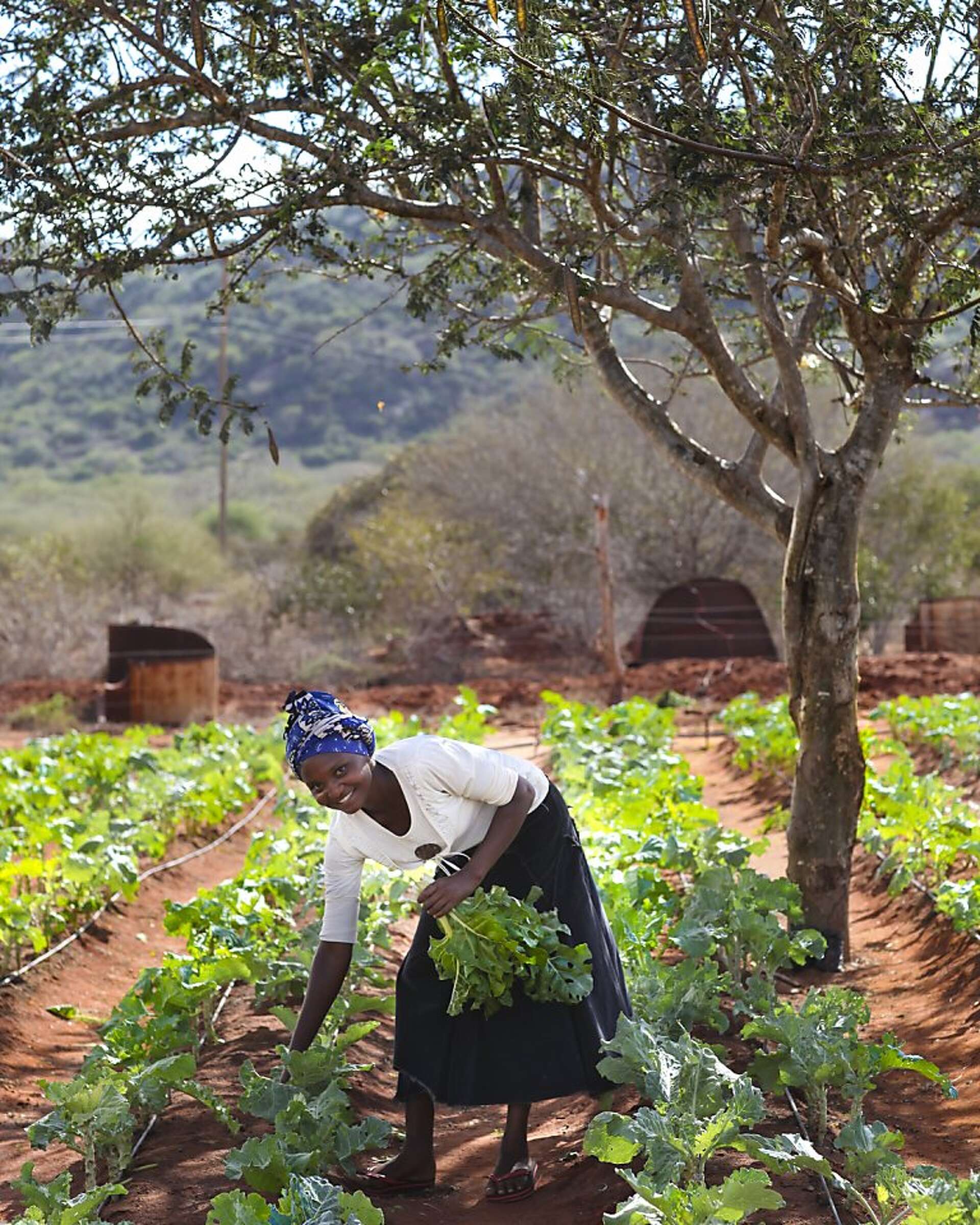 Wildlife Works builds business protecting forests, climate