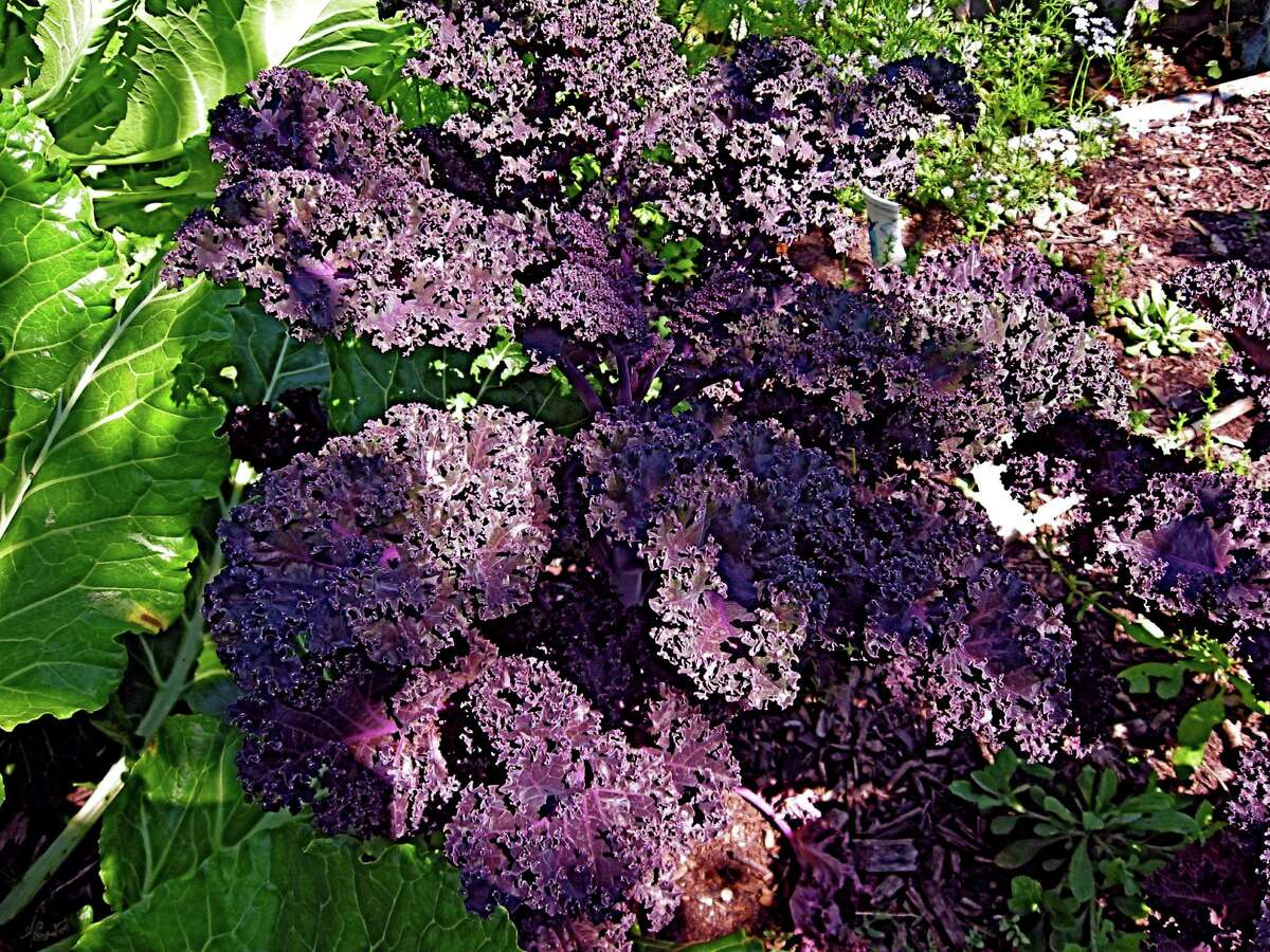 Fall brings a new beginning to the garden