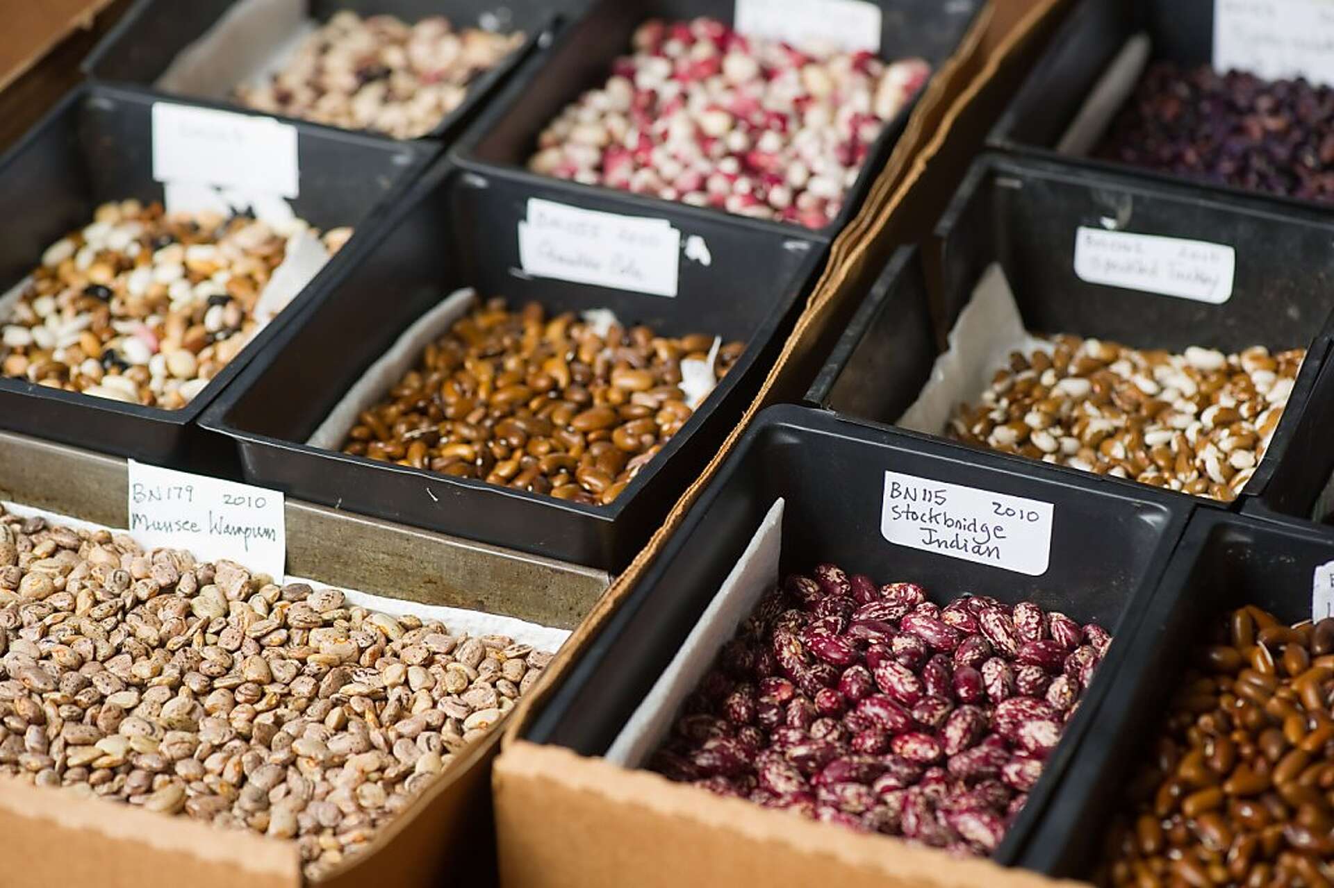 Interest grows in heirloom seeds and produce