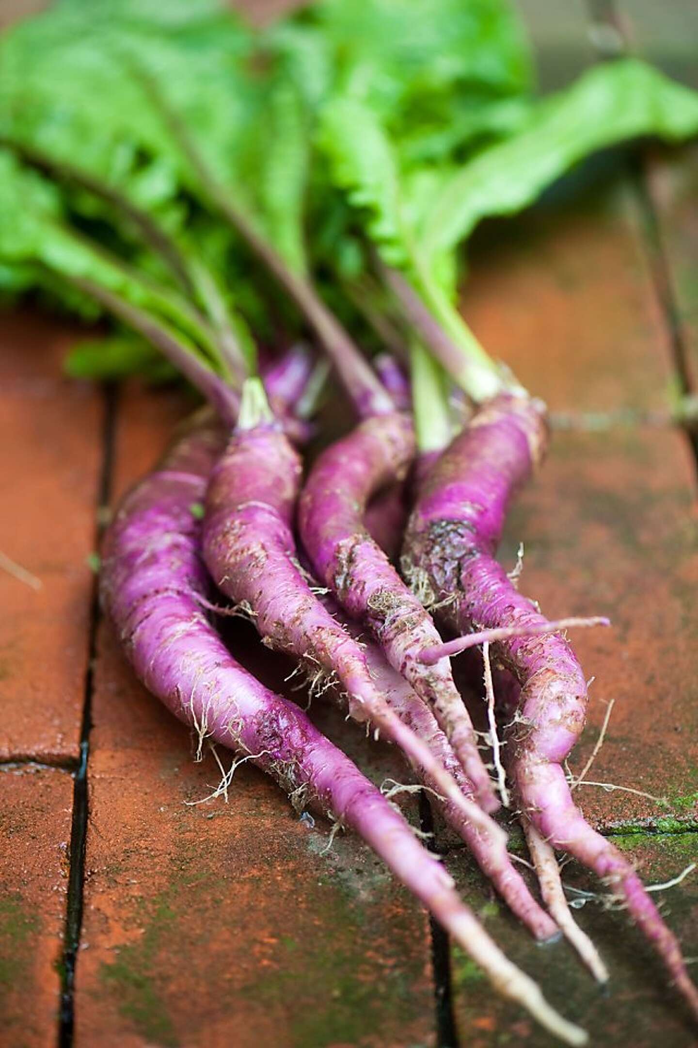 Interest grows in heirloom seeds and produce