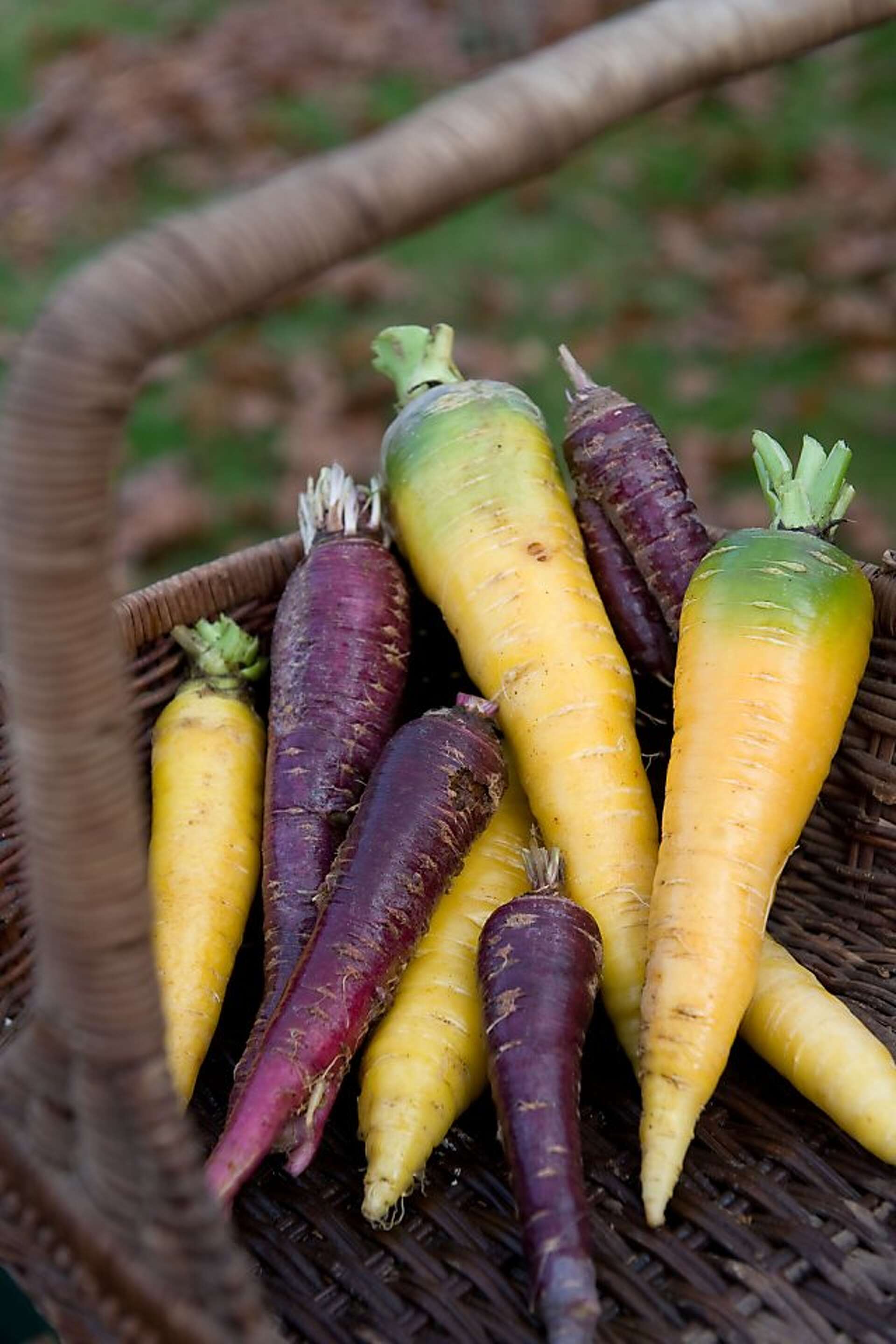 Interest grows in heirloom seeds and produce