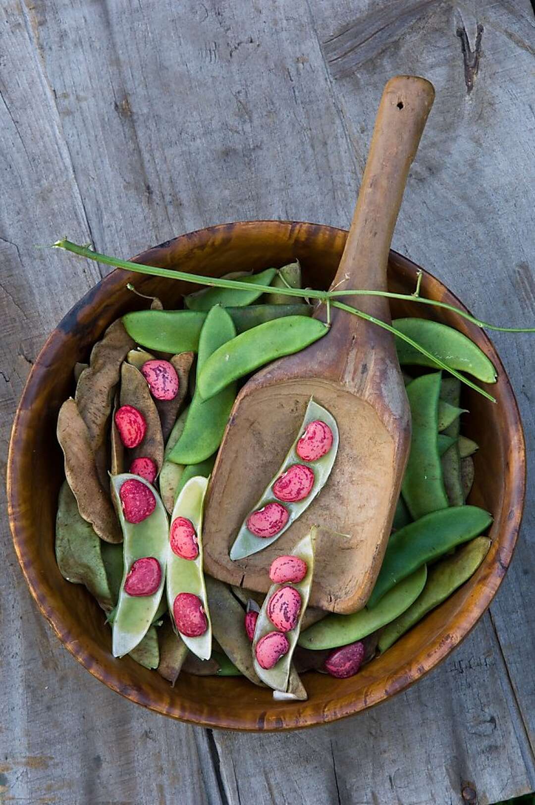 Interest grows in heirloom seeds and produce