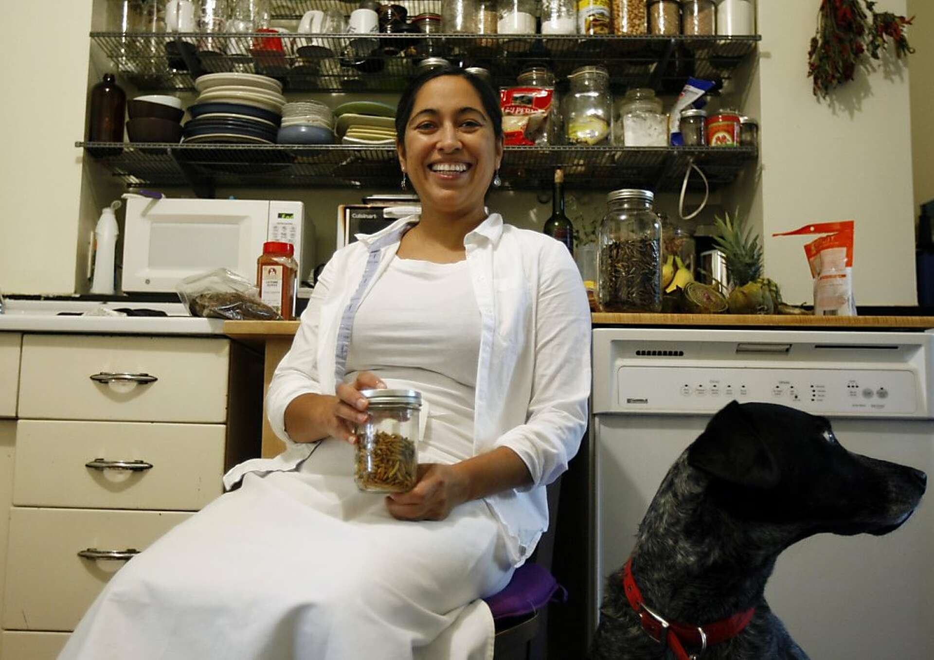 Don Bugito introducing insects to American diet