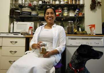 Don Bugito introducing insects to American diet