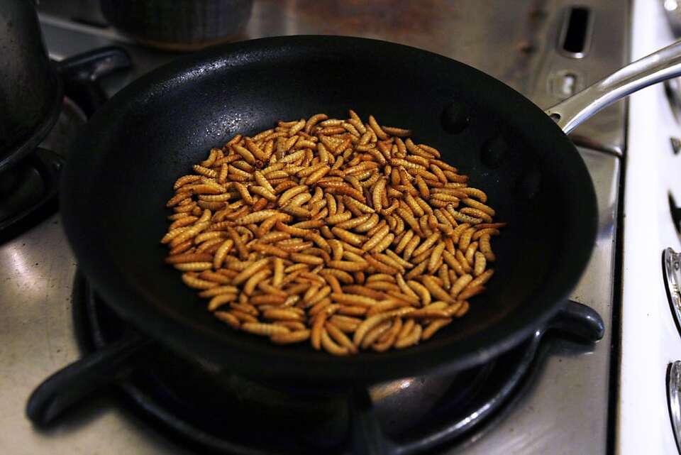 Don Bugito introducing insects to American diet