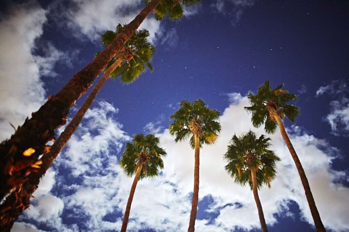 50 Bizarre phobias that sound made up