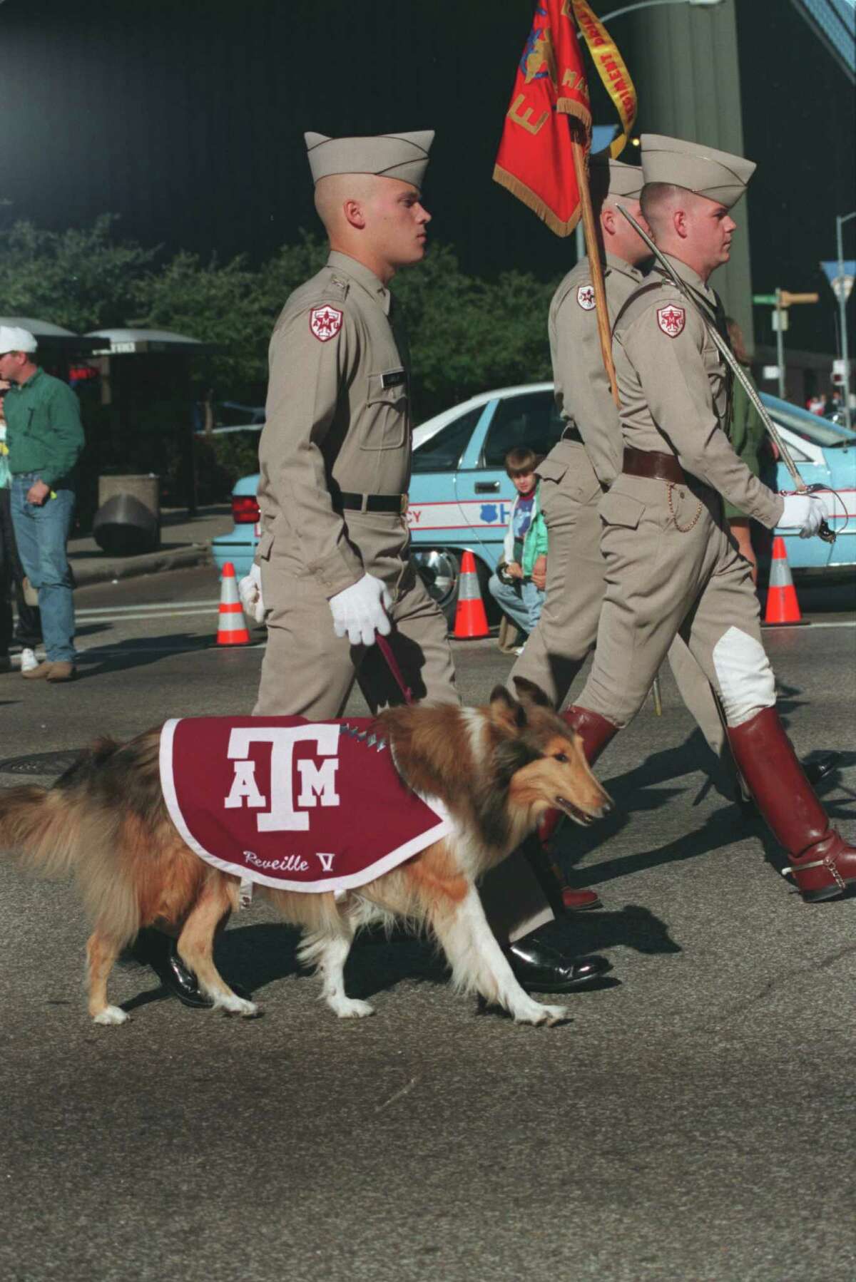 Aggie mascot Reveille VIII to retire at school year's end