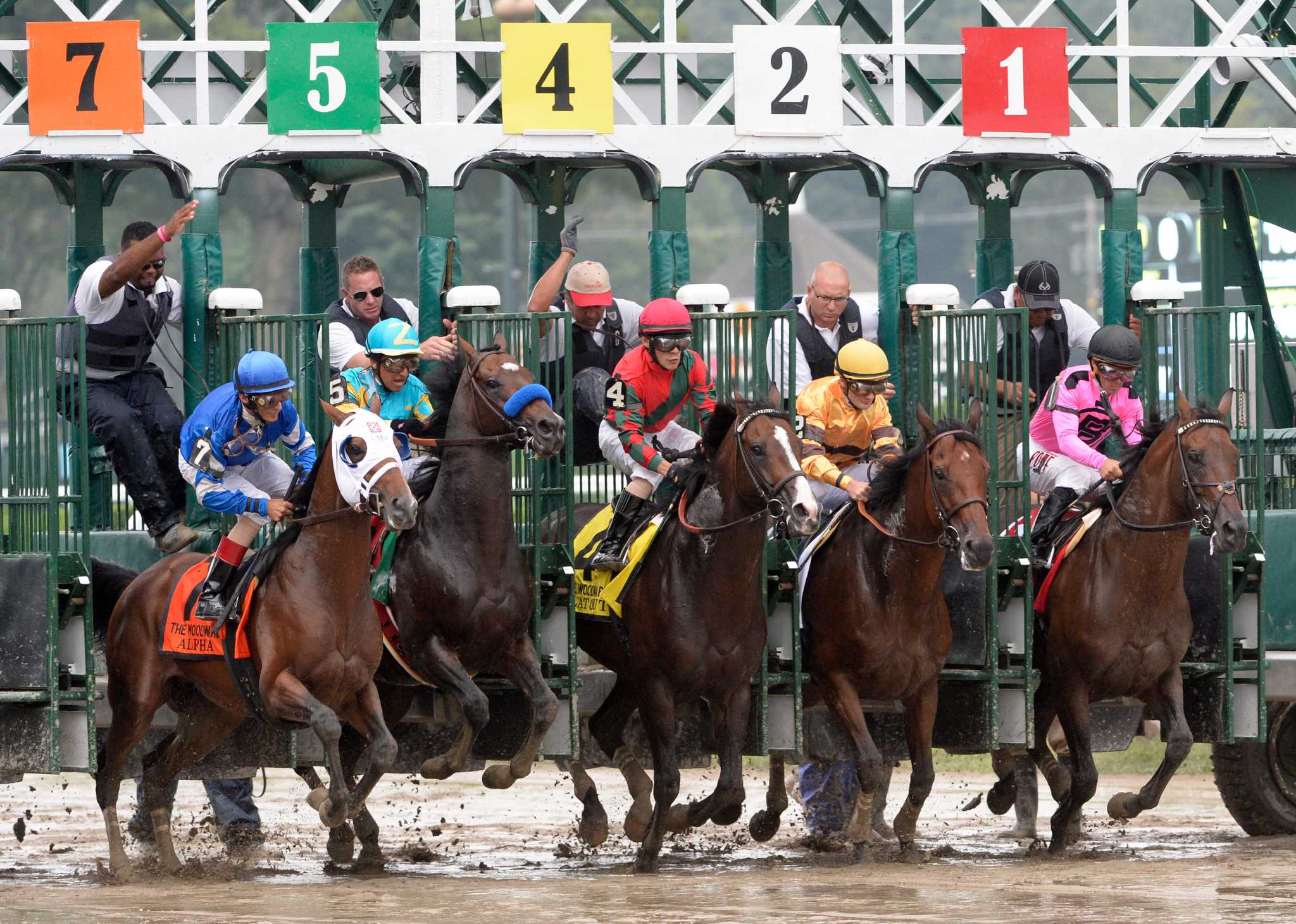 Alpha leader of the pack