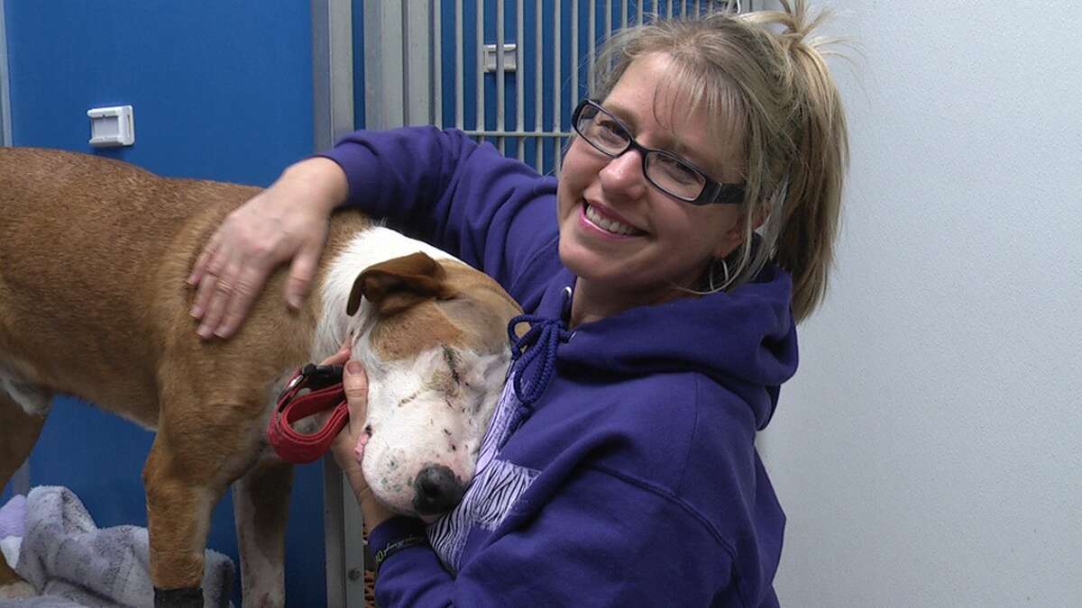 Buck the rescue dog inspires a music video