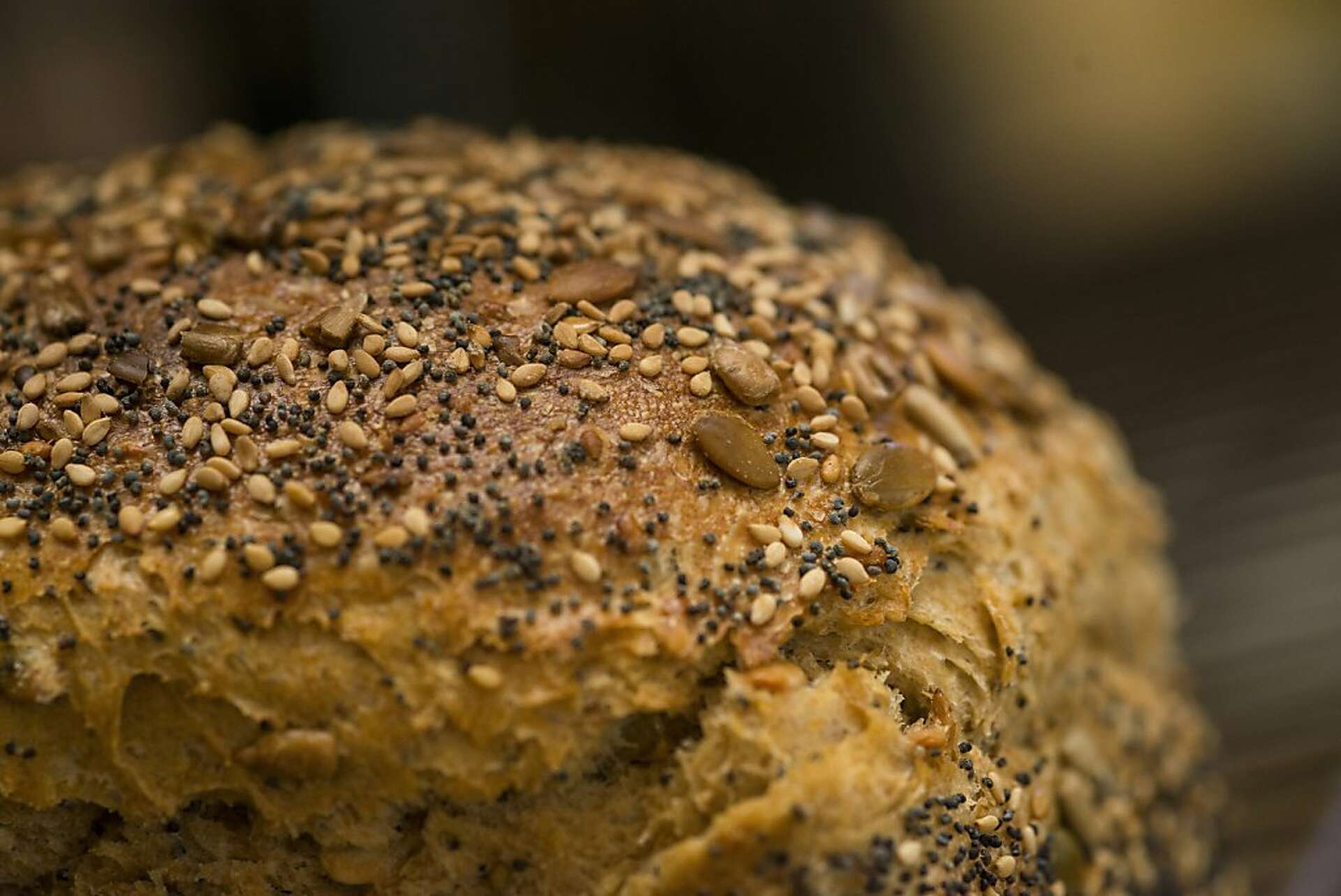 Love for bread, wine, family beget Dancing Fox