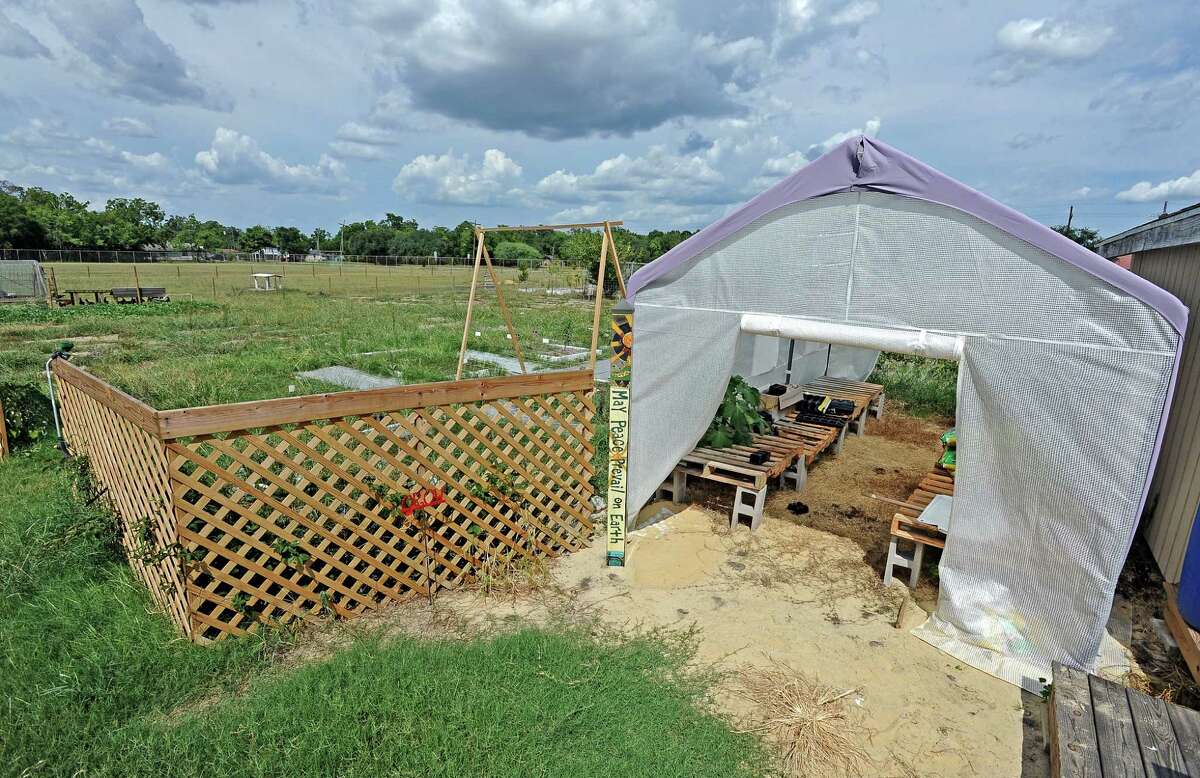 Odom Academy's farm is growing