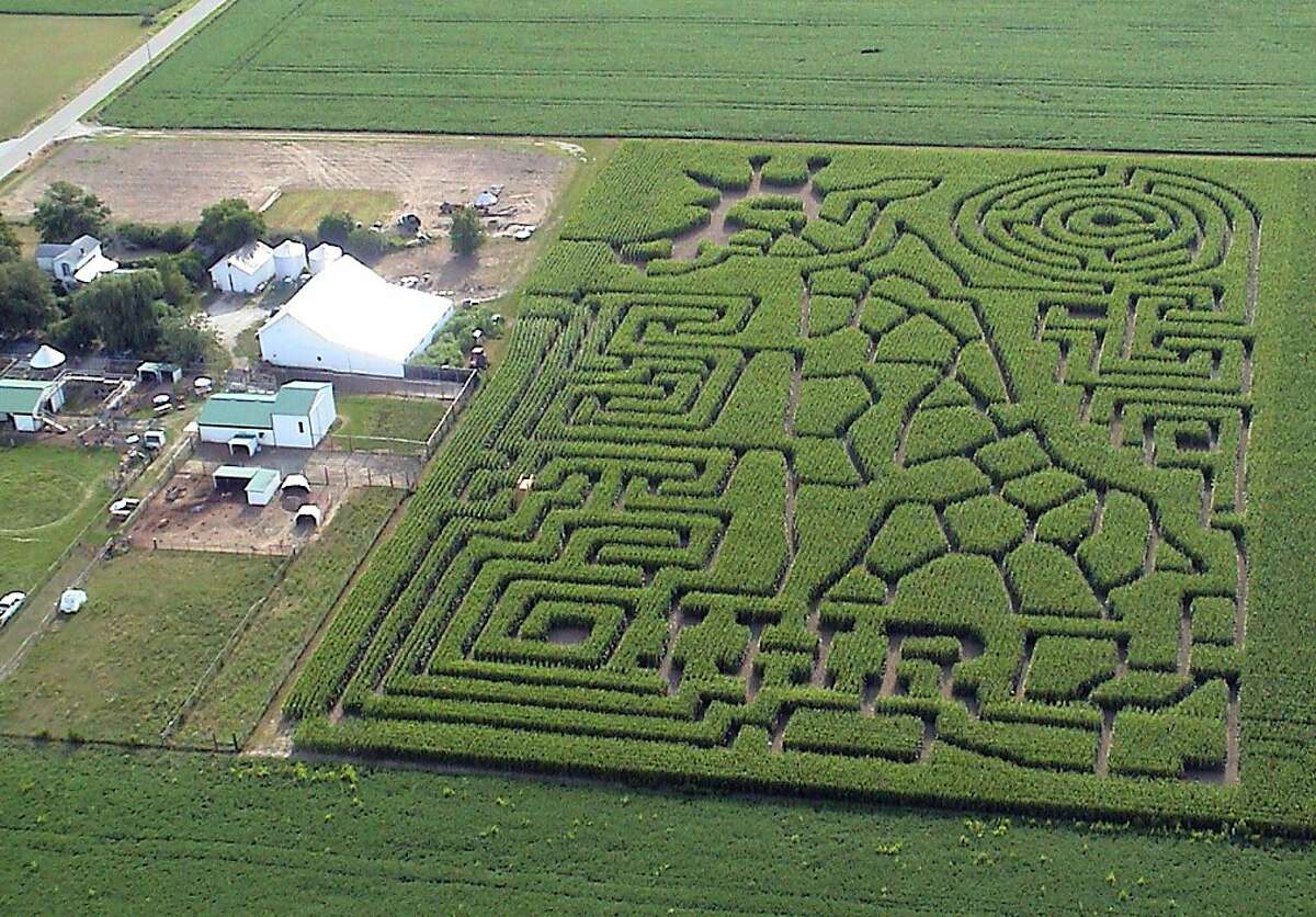 Get lost in a giant South Texas maze made of corn