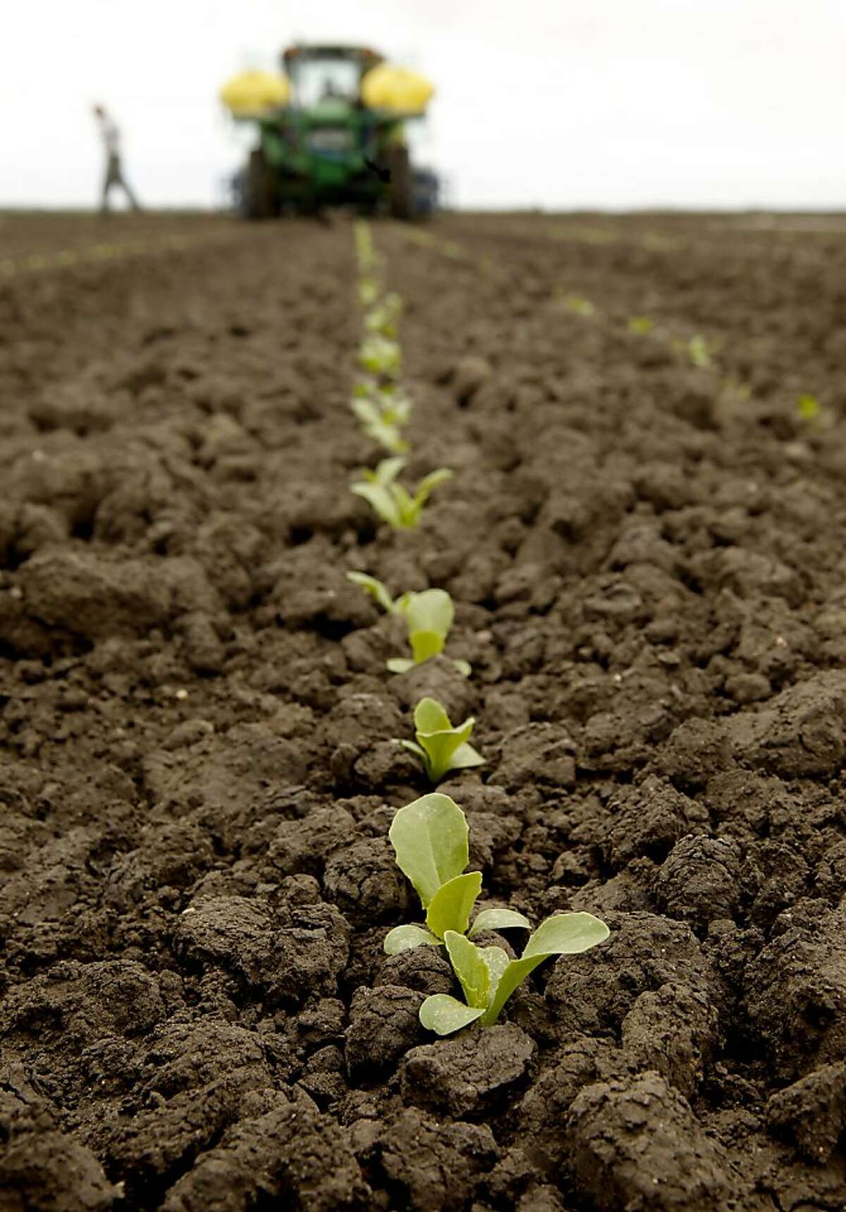 Agricultural technology use growing in California