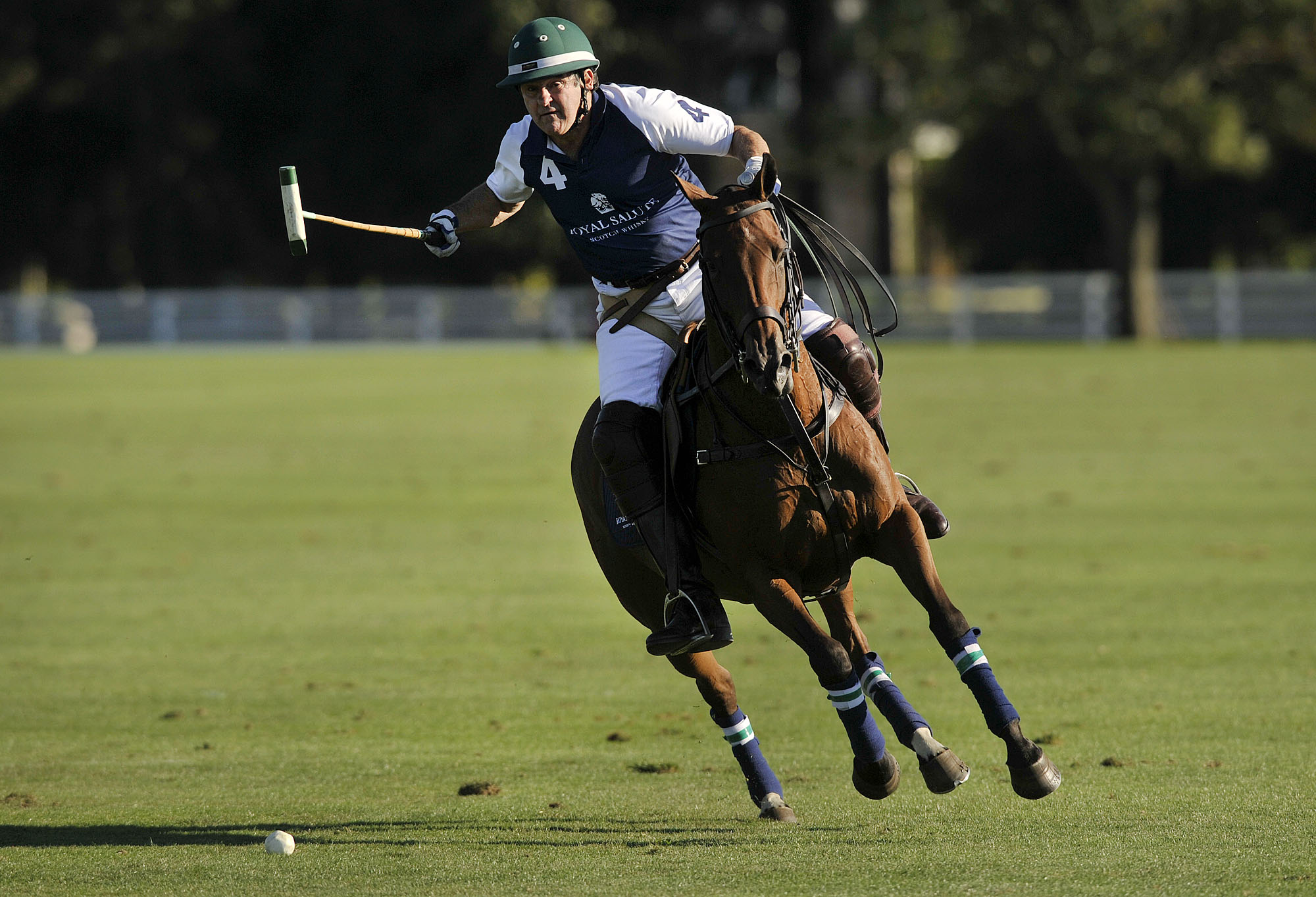 Polo match blends old, new worlds