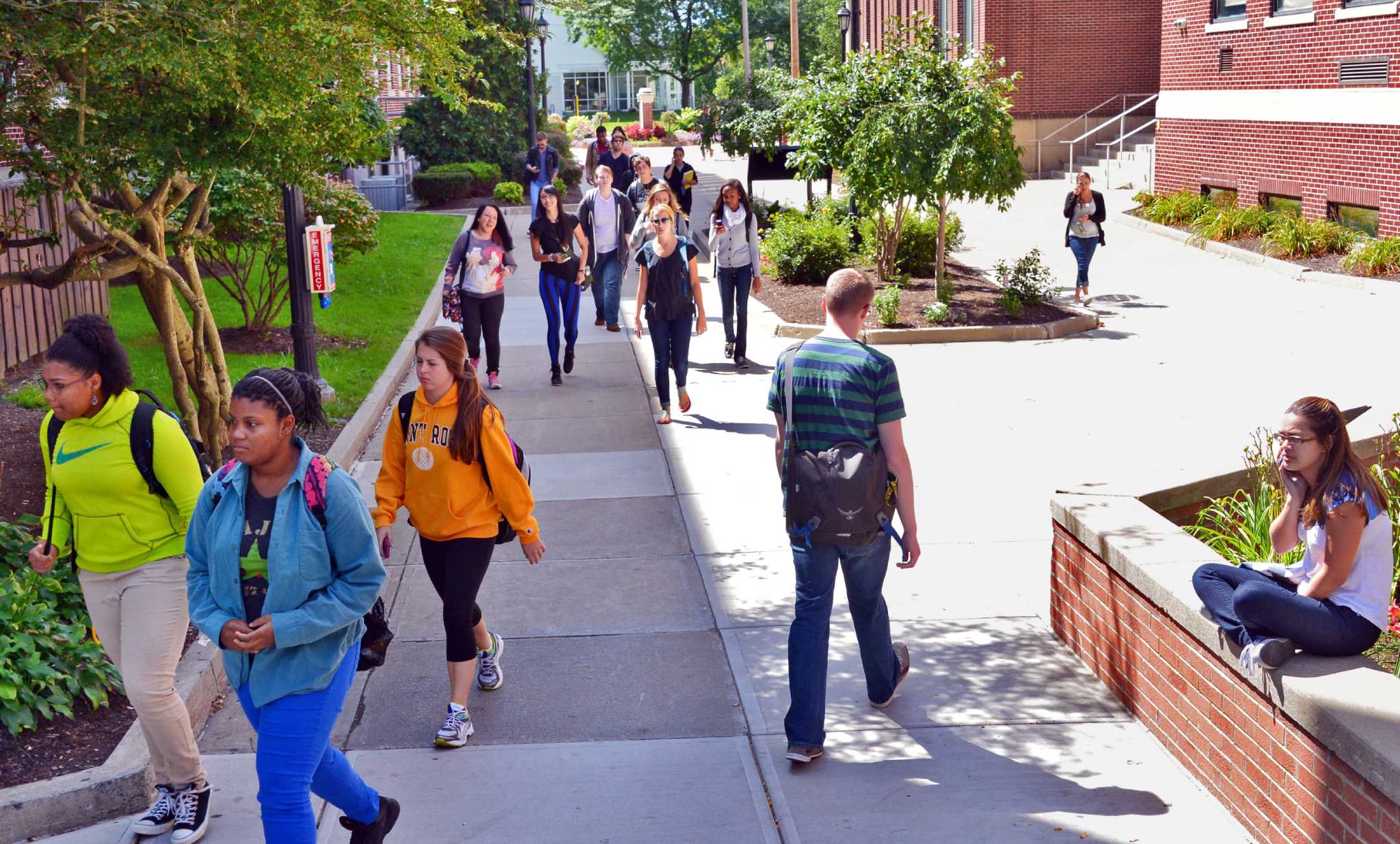 Campus Notebook: Oh, the humanities of it all in education