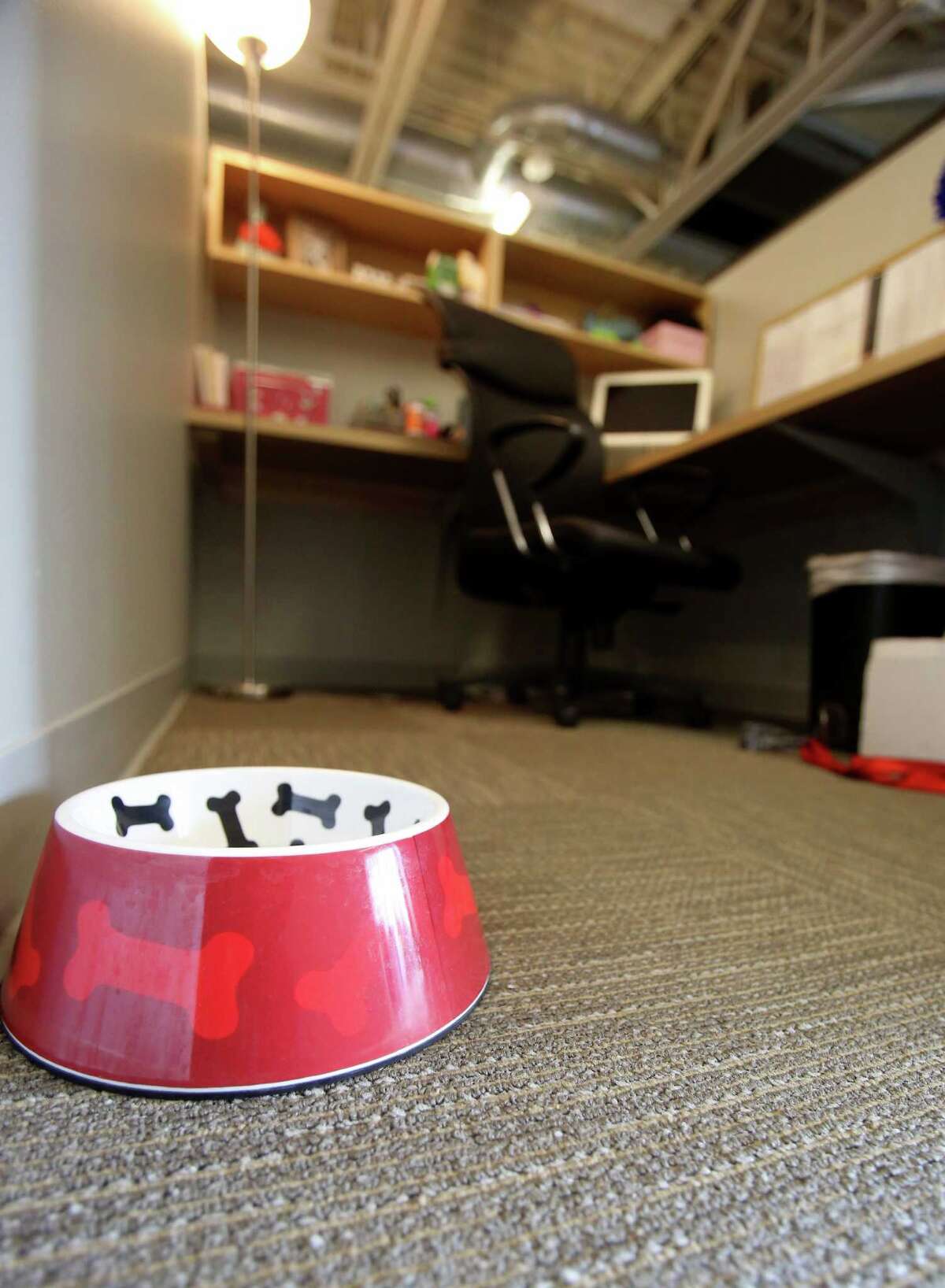 Pets play vital role at offices around San Antonio