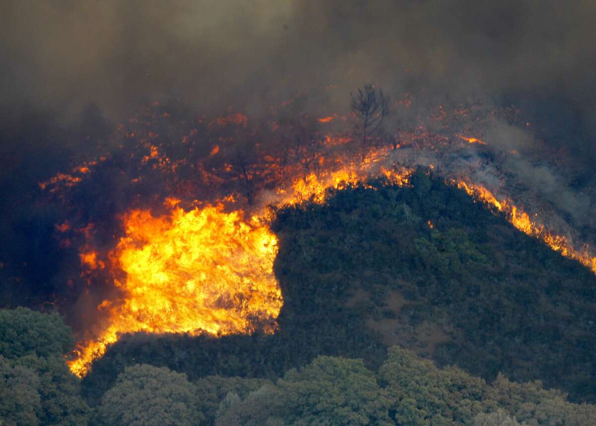 Wildlife winners, losers in Mt. Diablo fire