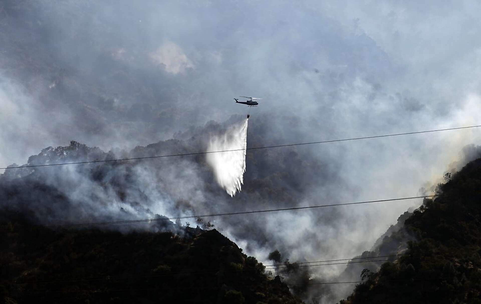 After inferno, Mt. Diablo bursts with long-hidden flowers