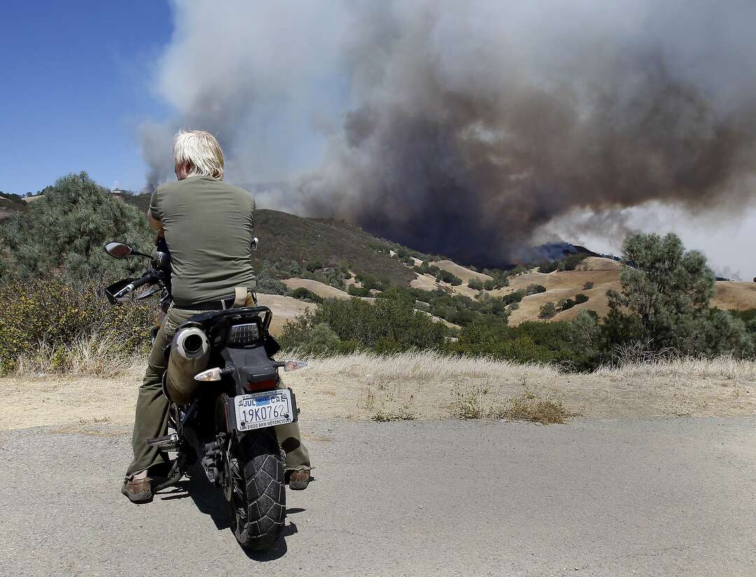 After inferno, Mt. Diablo bursts with long-hidden flowers