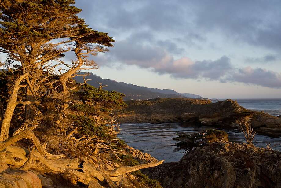 Point Lobos' natural beauty belies industrial past - SFGate