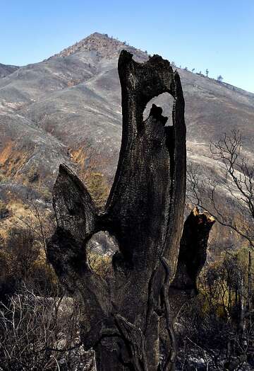 Mt. Diablo fire likely caused by person, experts say