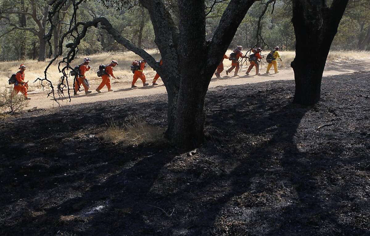 Wildlife winners, losers in Mt. Diablo fire
