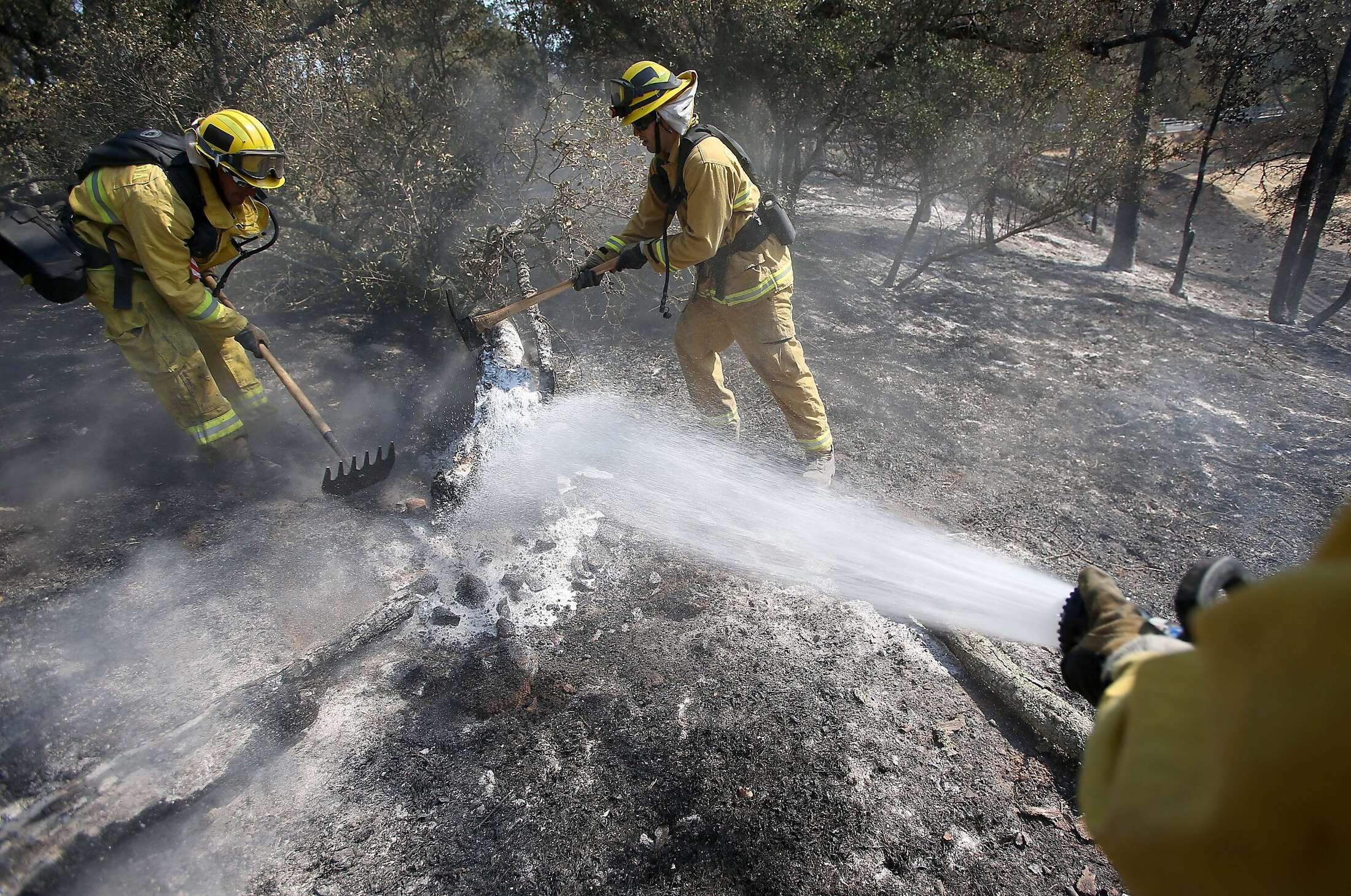 Wildlife winners, losers in Mt. Diablo fire