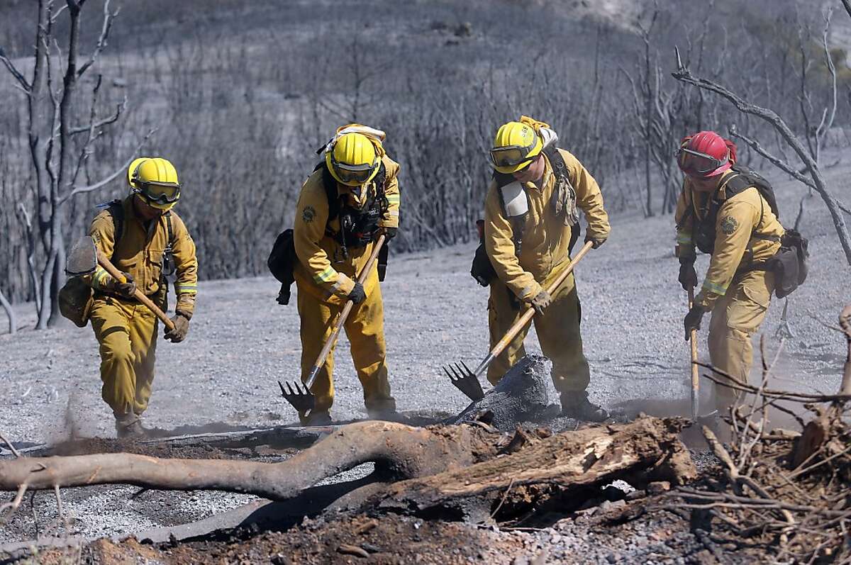 Wildlife winners, losers in Mt. Diablo fire