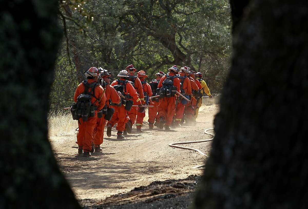 Wildlife winners, losers in Mt. Diablo fire