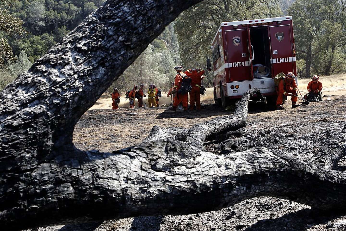 Wildlife winners, losers in Mt. Diablo fire