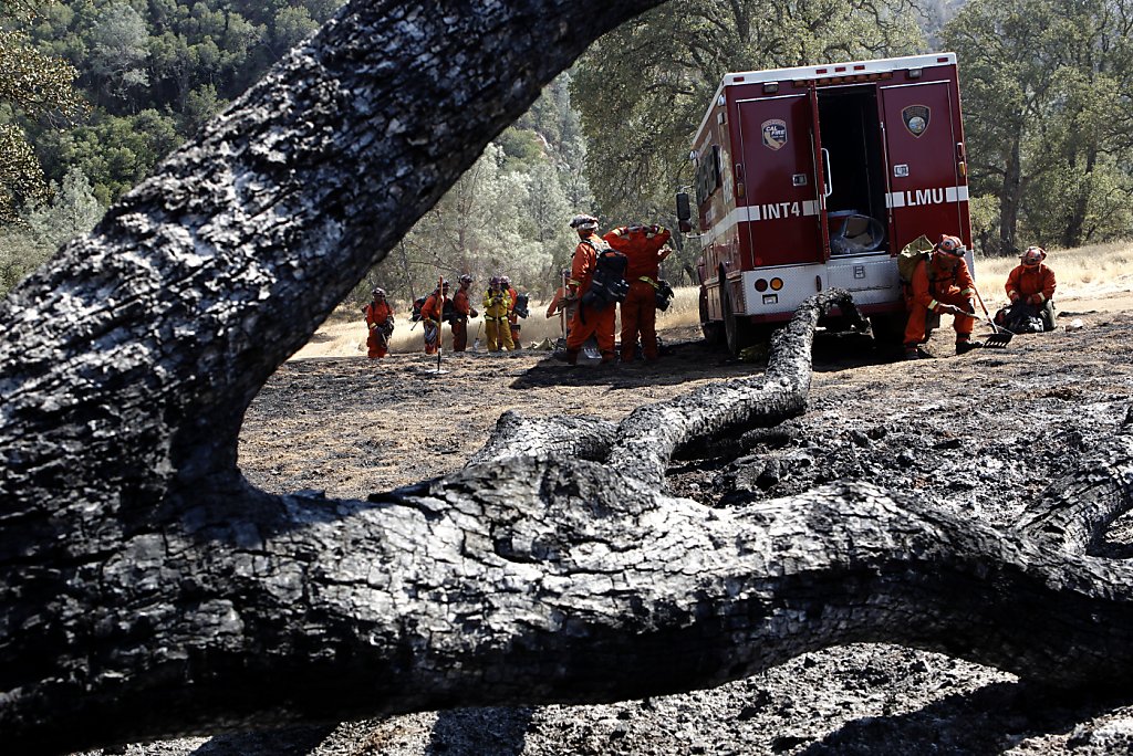Wildlife winners, losers in Mt. Diablo fire