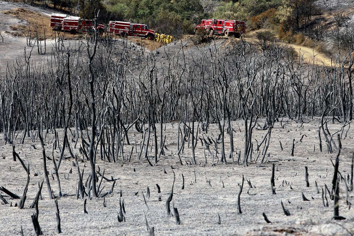 Wildlife winners, losers in Mt. Diablo fire