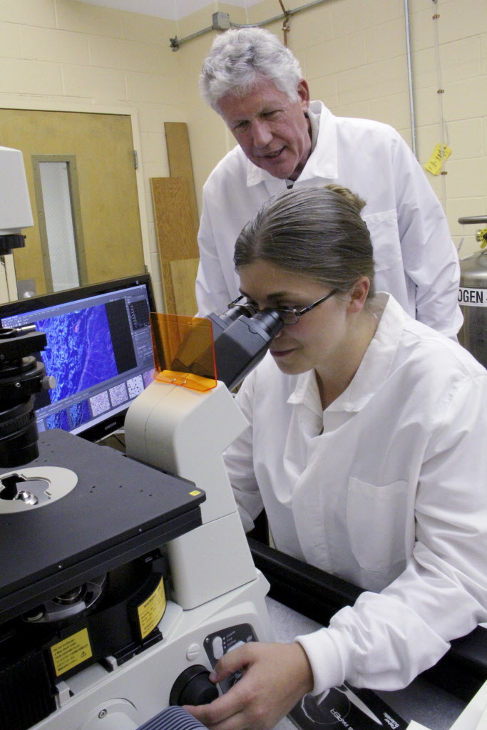 How to light your own tech-boom fuse