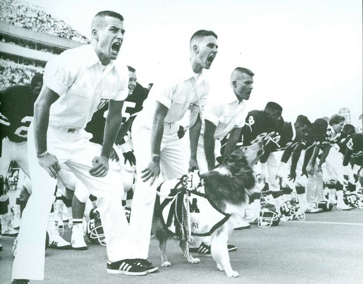 What in tarnation is this? Aggies dancer guy > General Discussion ...