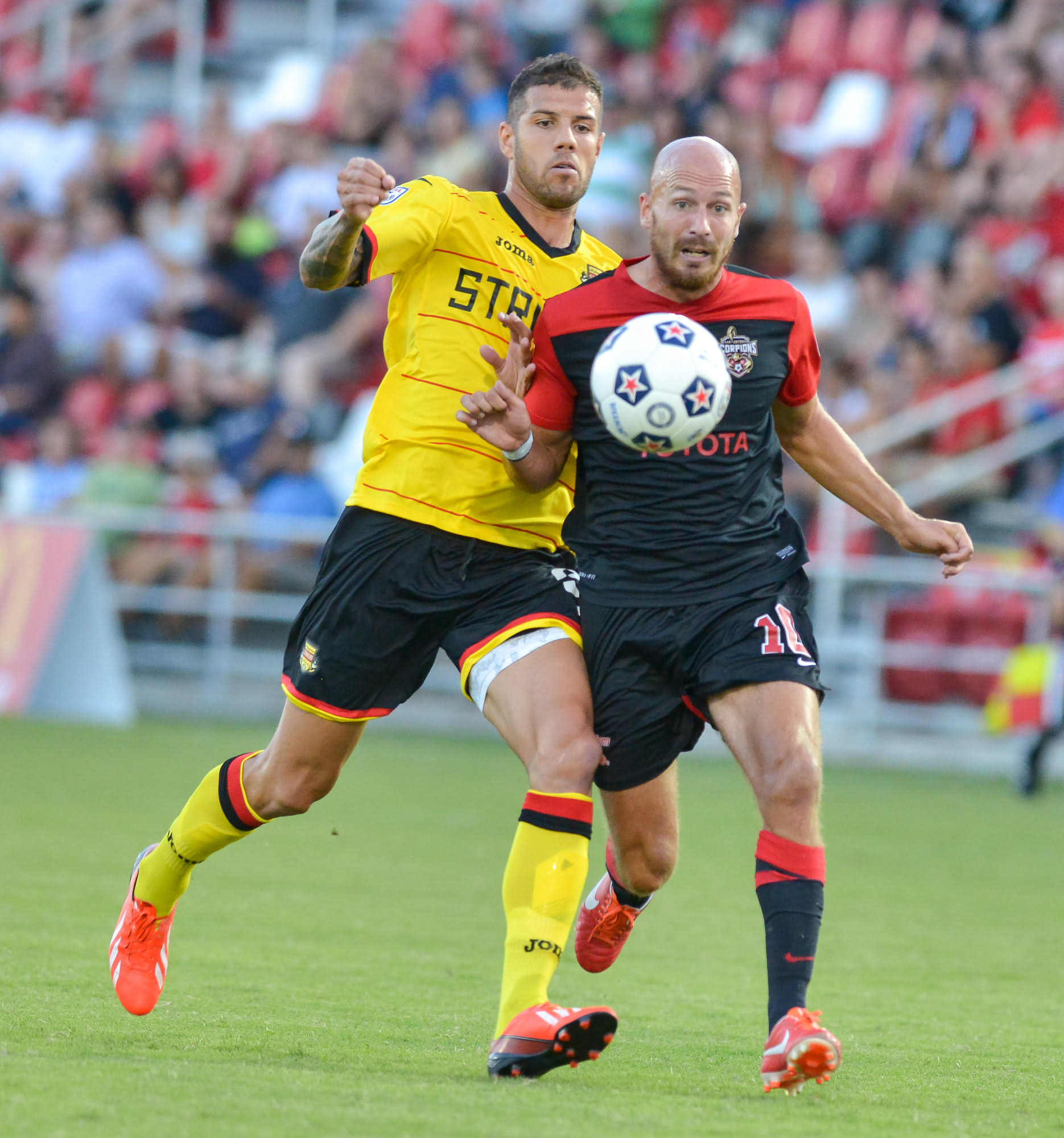 Scorpions still seeking first fall win