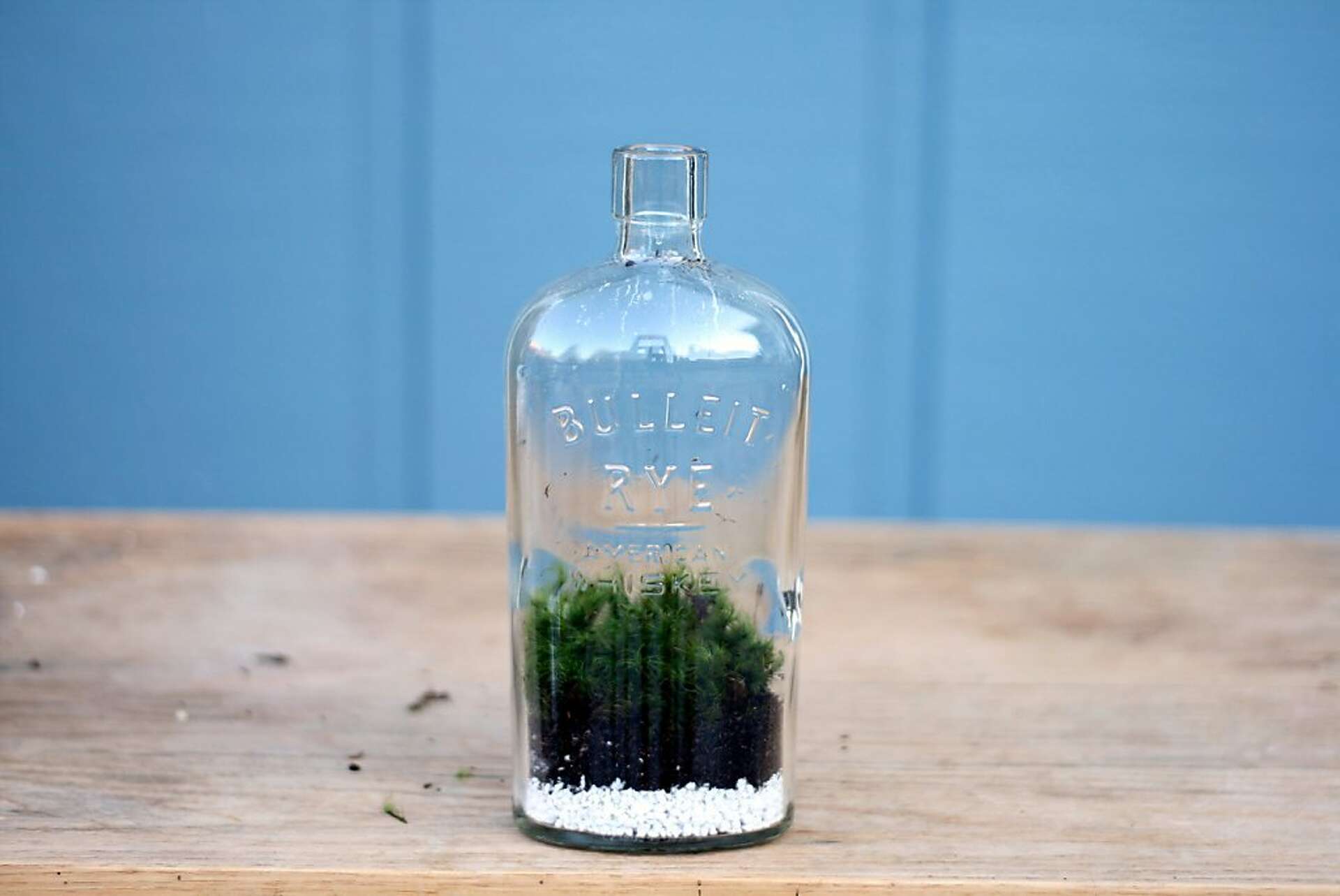 Building a little garden under glass
