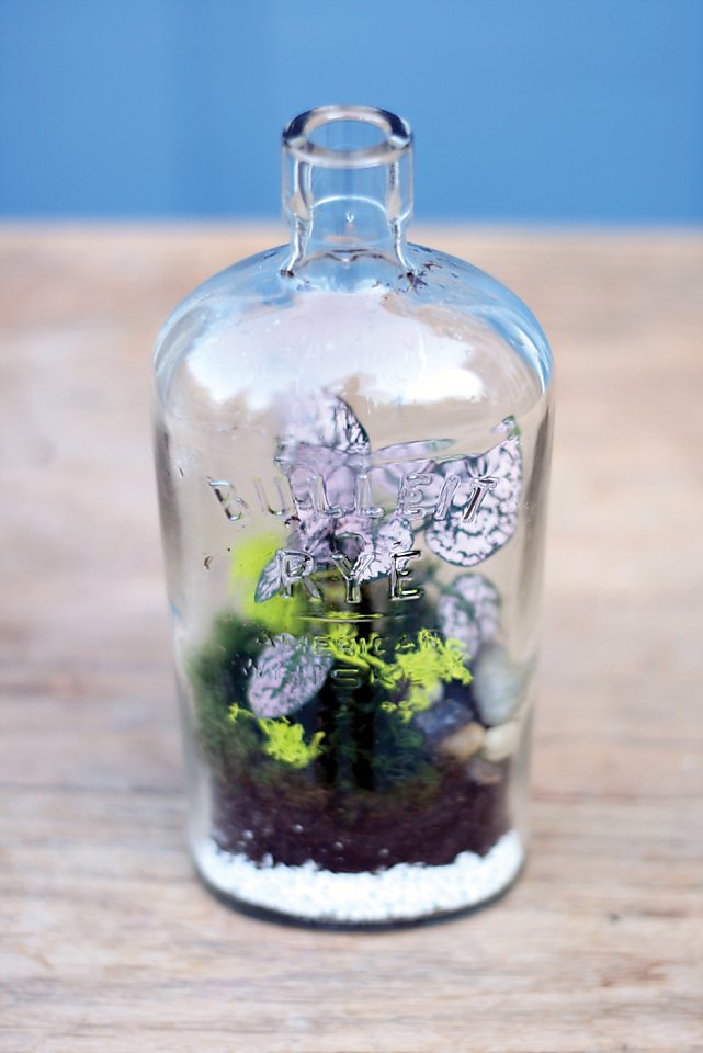 Building a little garden under glass