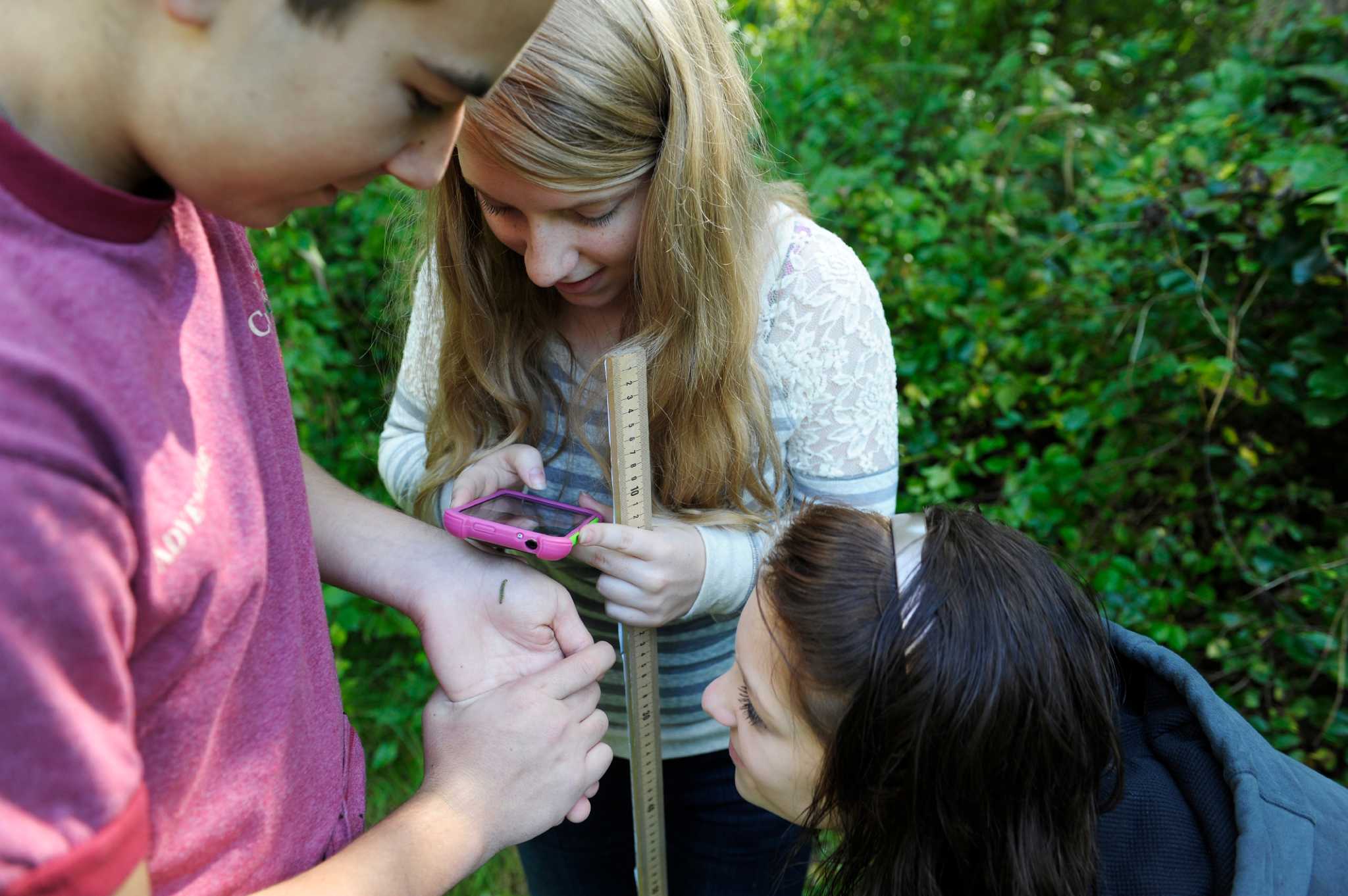 Photos: Students study forest