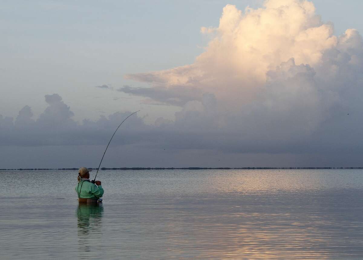 The 7 best parks to camp near Houston