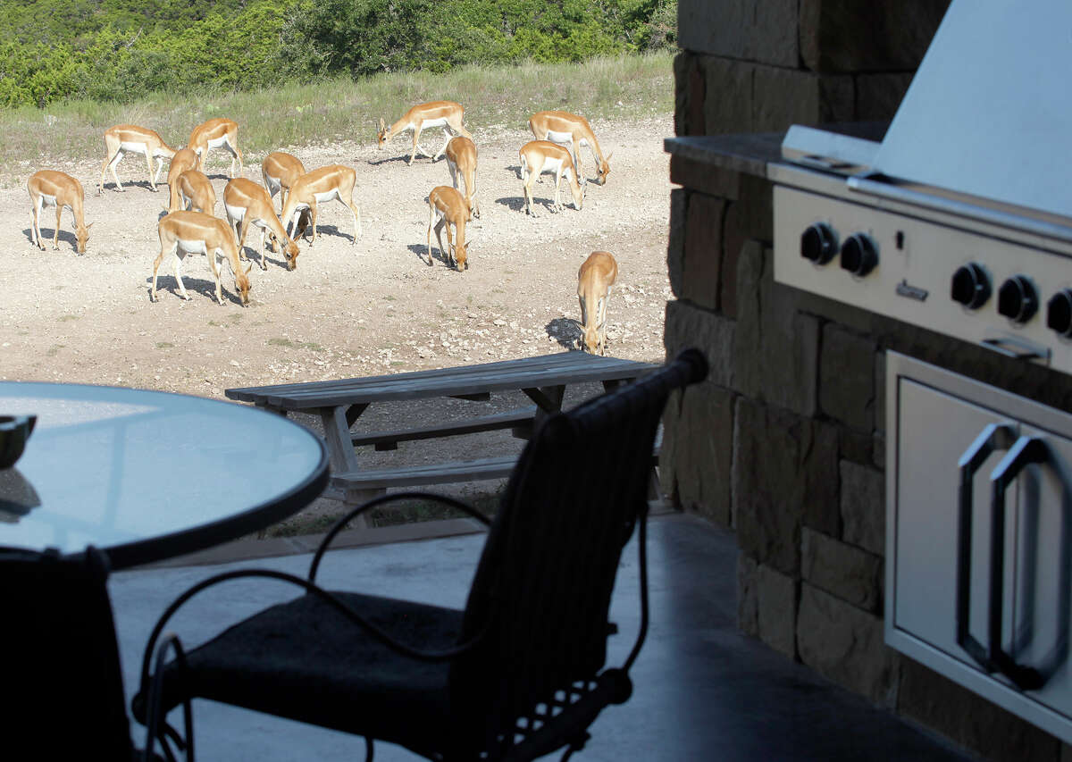 Spaces: A retiring life in the country