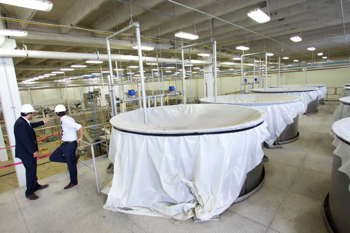 Goya's bastion of beans