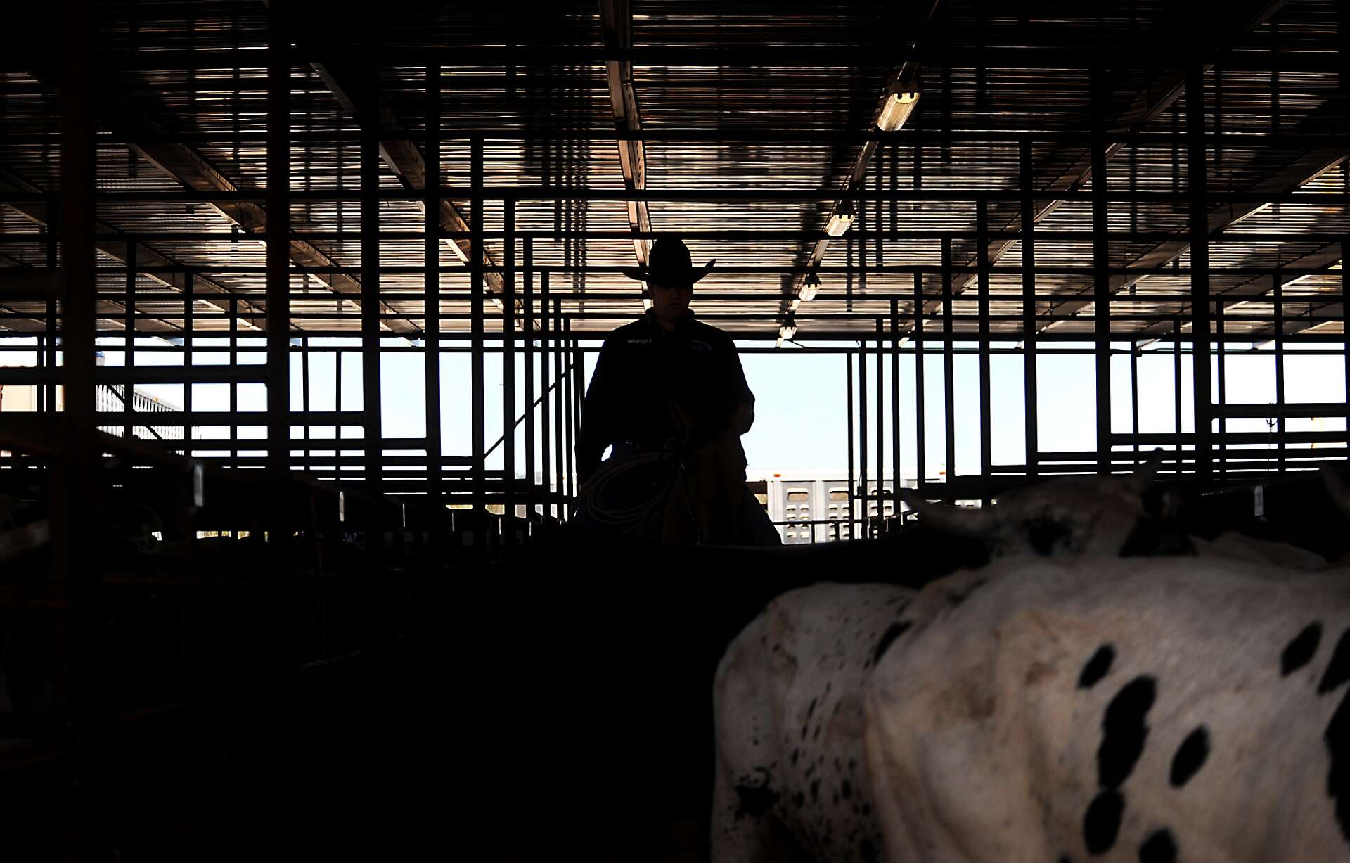 Nutty Jerry's founder continues efforts to make SETX entertaining with ...