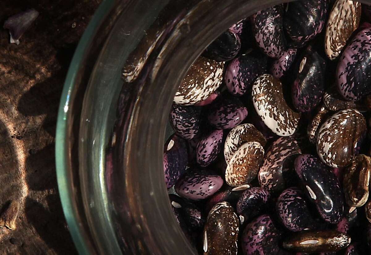 How to grow a food forest