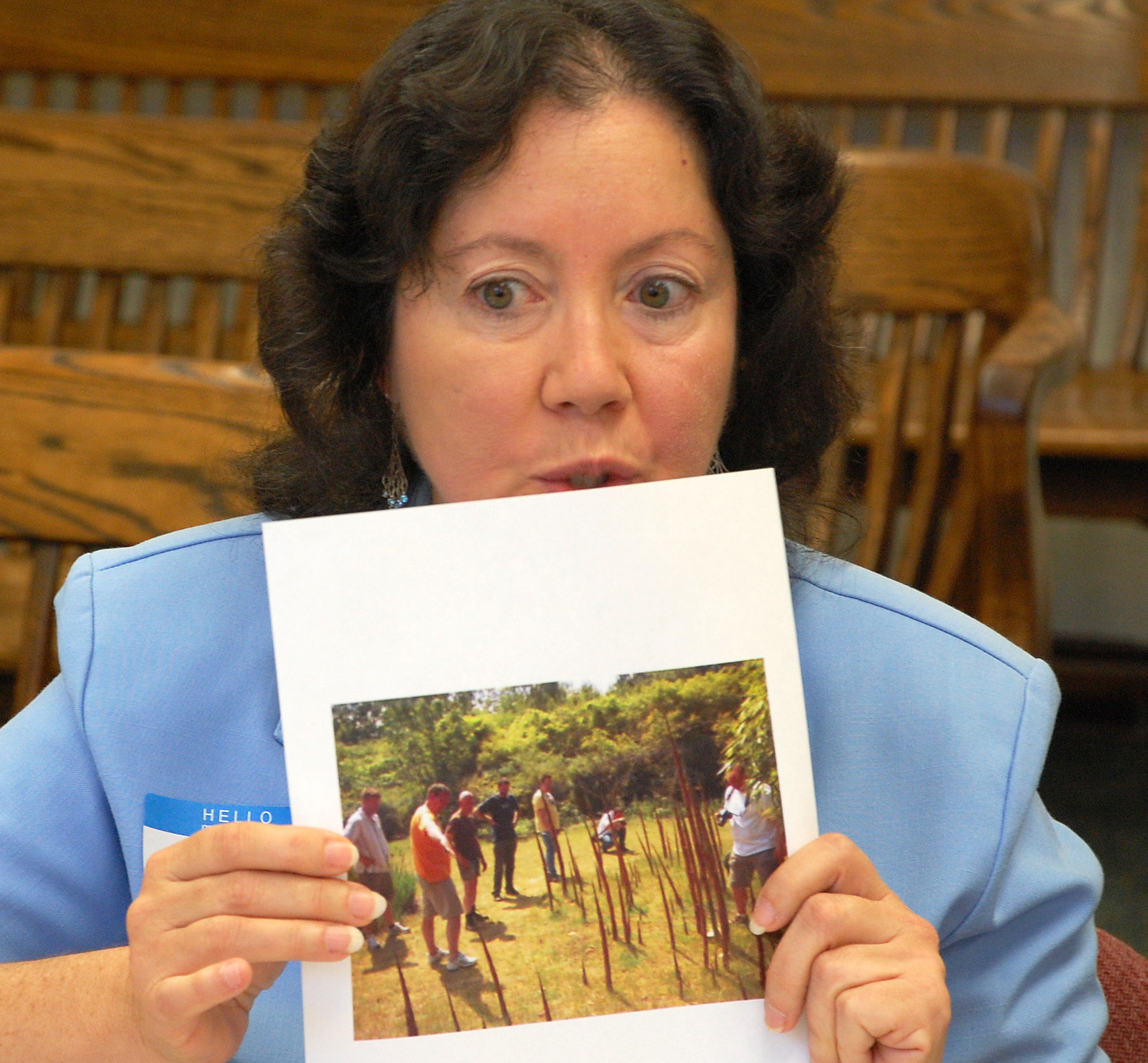 Is Westport ready to battle bamboo invasion? RTM panel does spade work