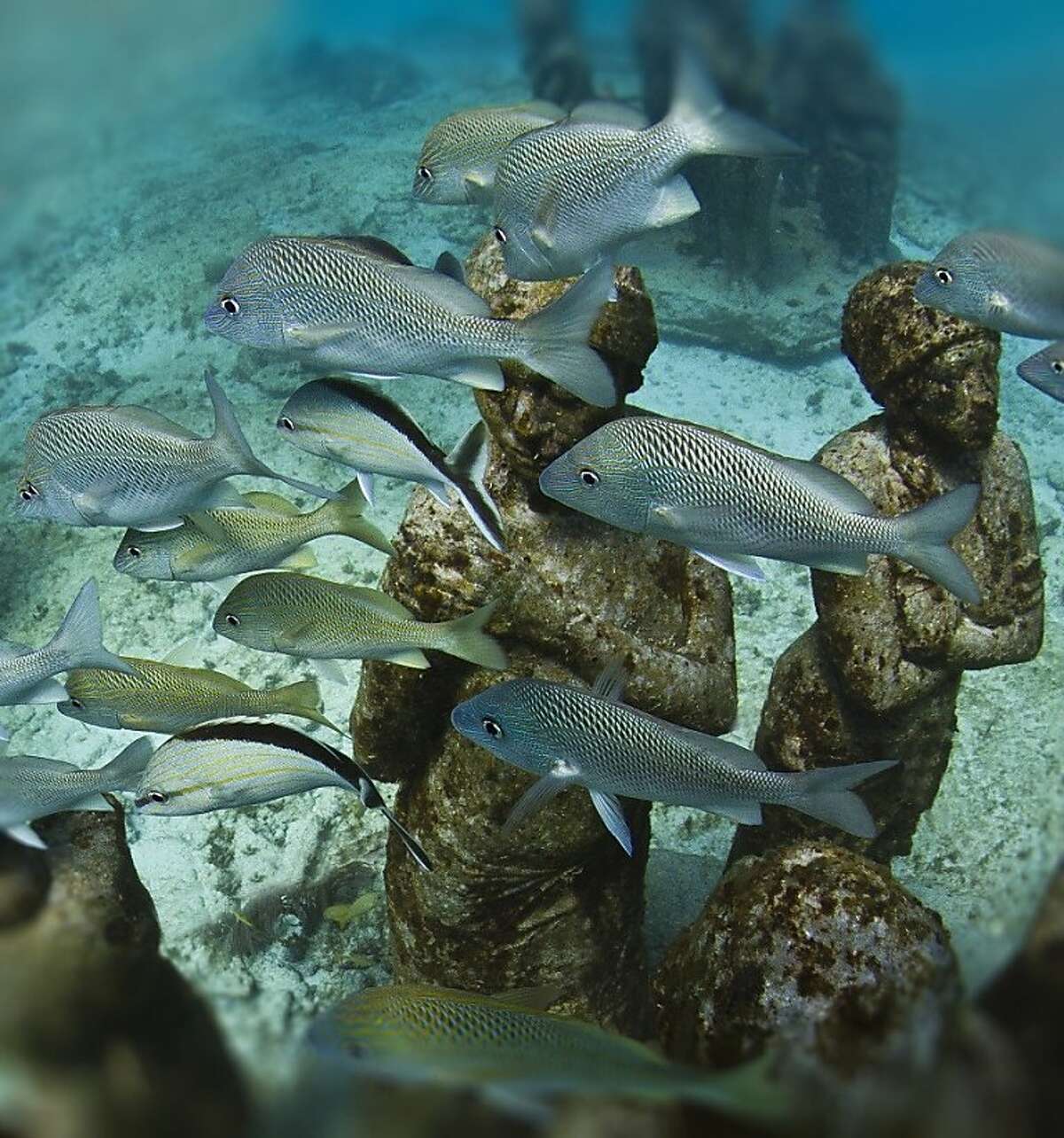 Cancun and the Riviera Maya in the fall